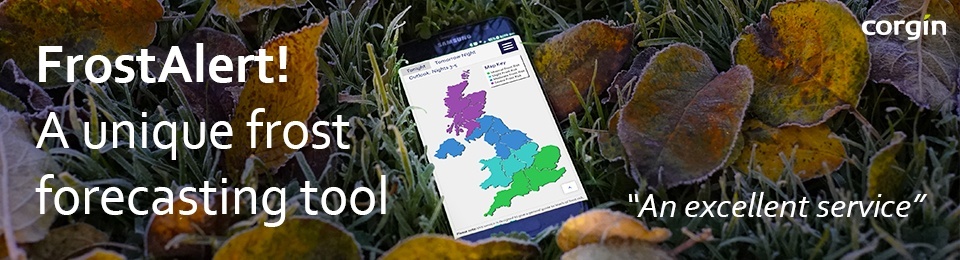 Get In Touch - Contact Us | Corgin Ltd