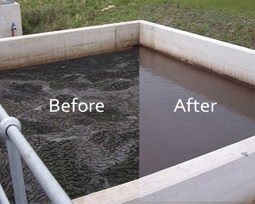 News - Corgin Ltd | Wastewater Scum Removal