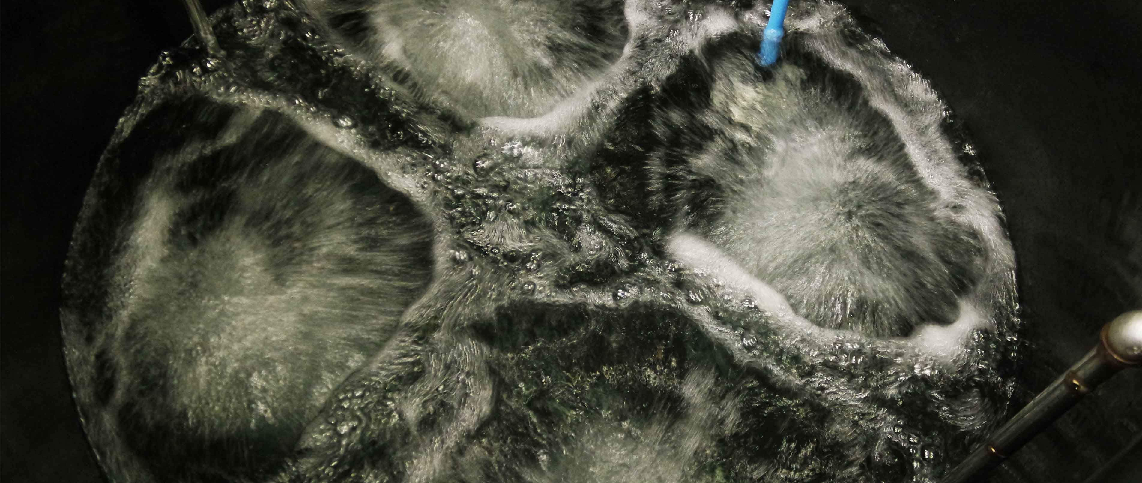 Bioaugmentation Wastewater Treatment | Corgin Ltd