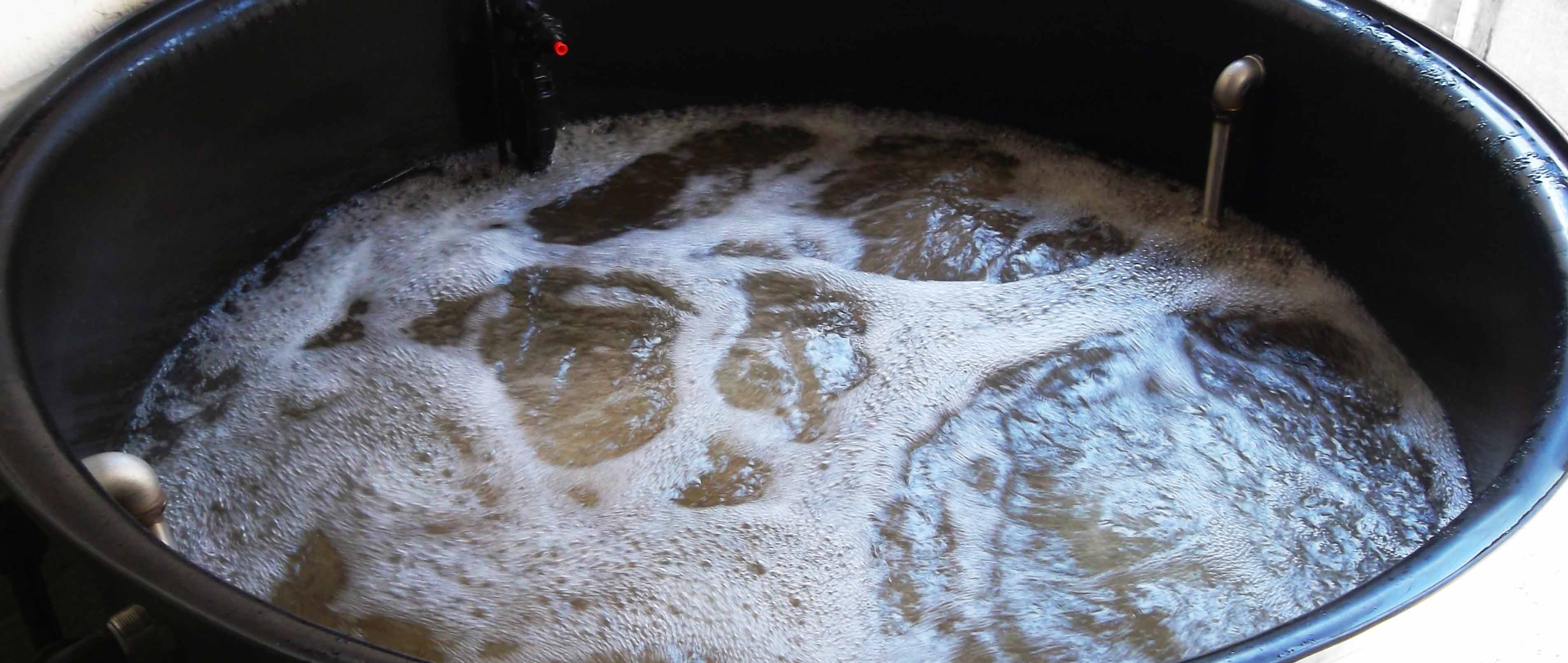 Bioaugmentation Wastewater Treatment | Corgin Ltd